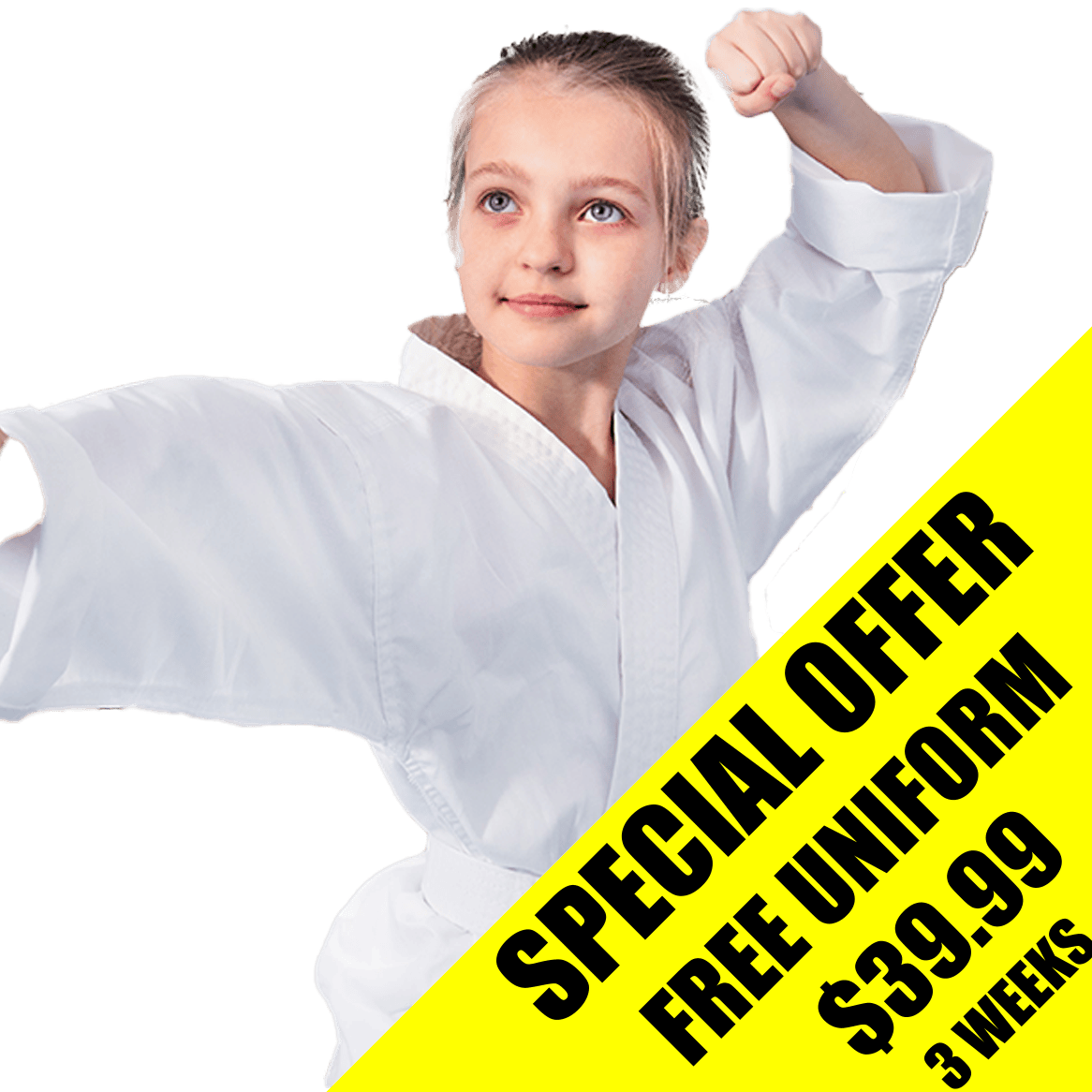 Family Goju Karate-do Karate Special